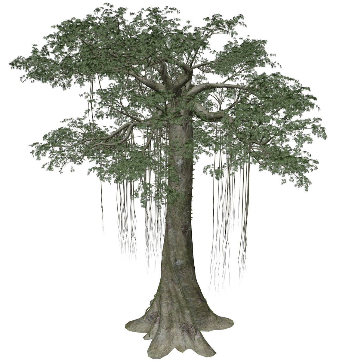 Kapok Tree #08 - 3D Model by AntonioKowatsch
