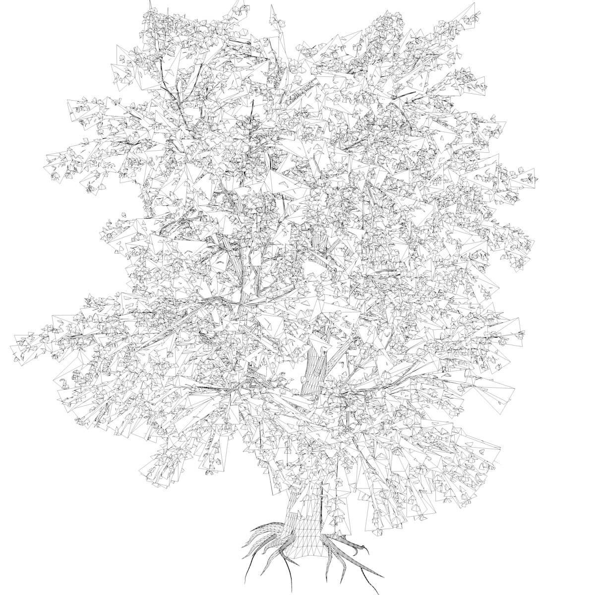 Katsura Tree #04 - 3D Model by AntonioKowatsch