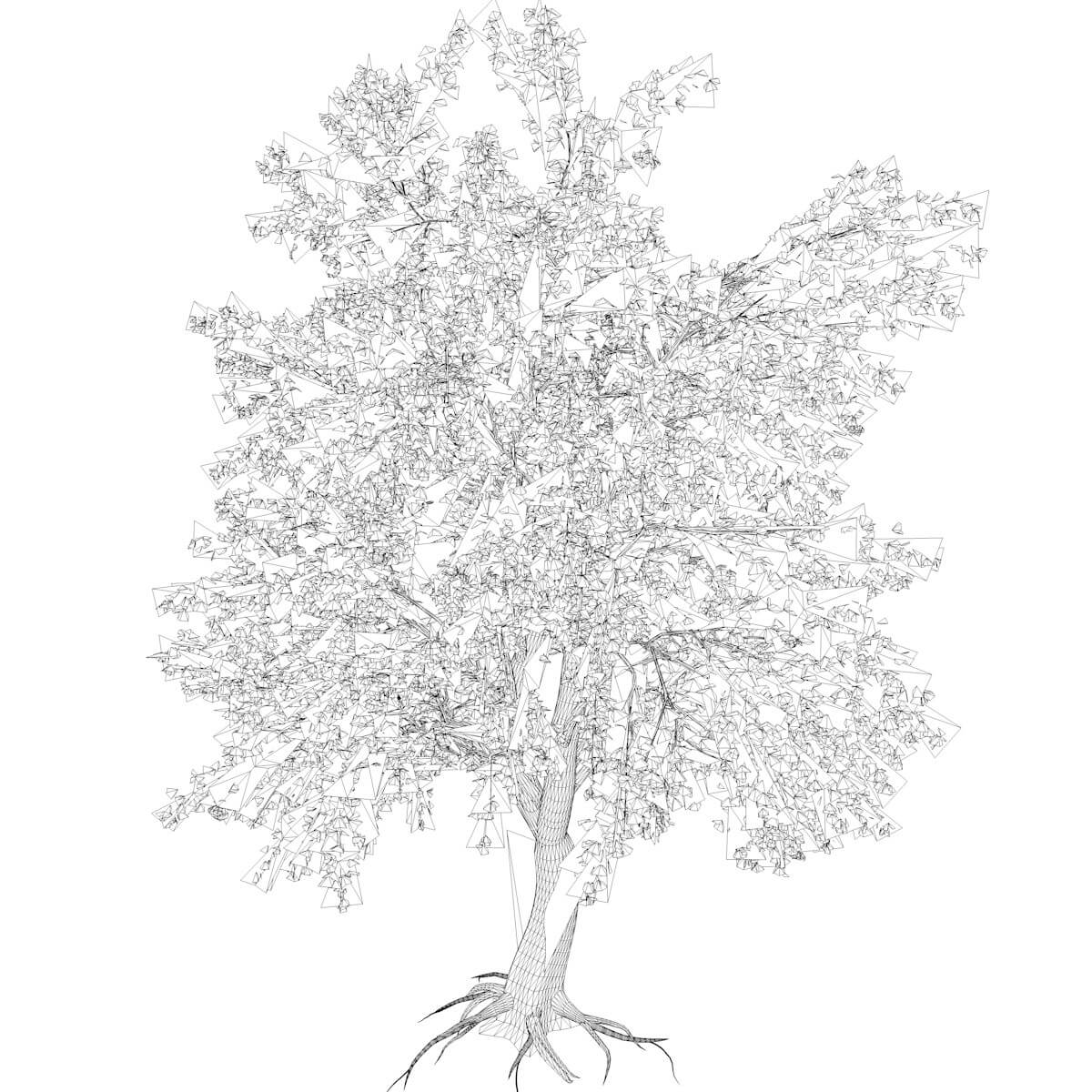 Katsura Tree #06 - 3D Model by AntonioKowatsch