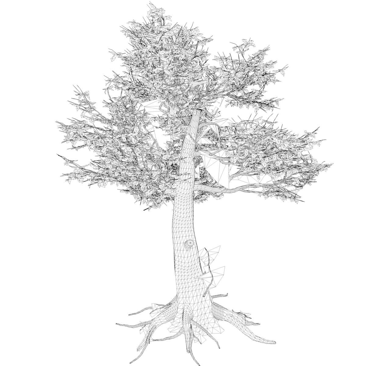 Kingsville Boxwood Tree #01 - 3D Model by AntonioKowatsch