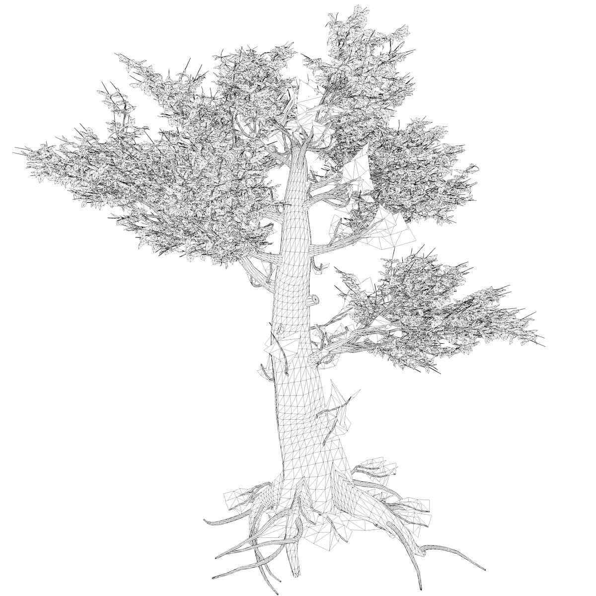 Kingsville Boxwood Tree #03 - 3D Model by AntonioKowatsch