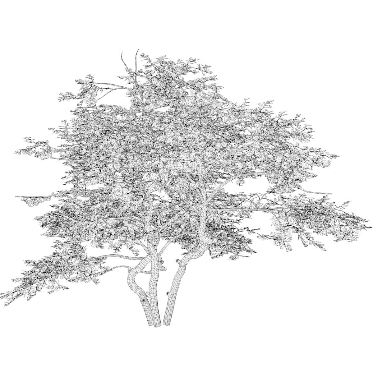 Lemon Tree #07 - 3D Model by AntonioKowatsch