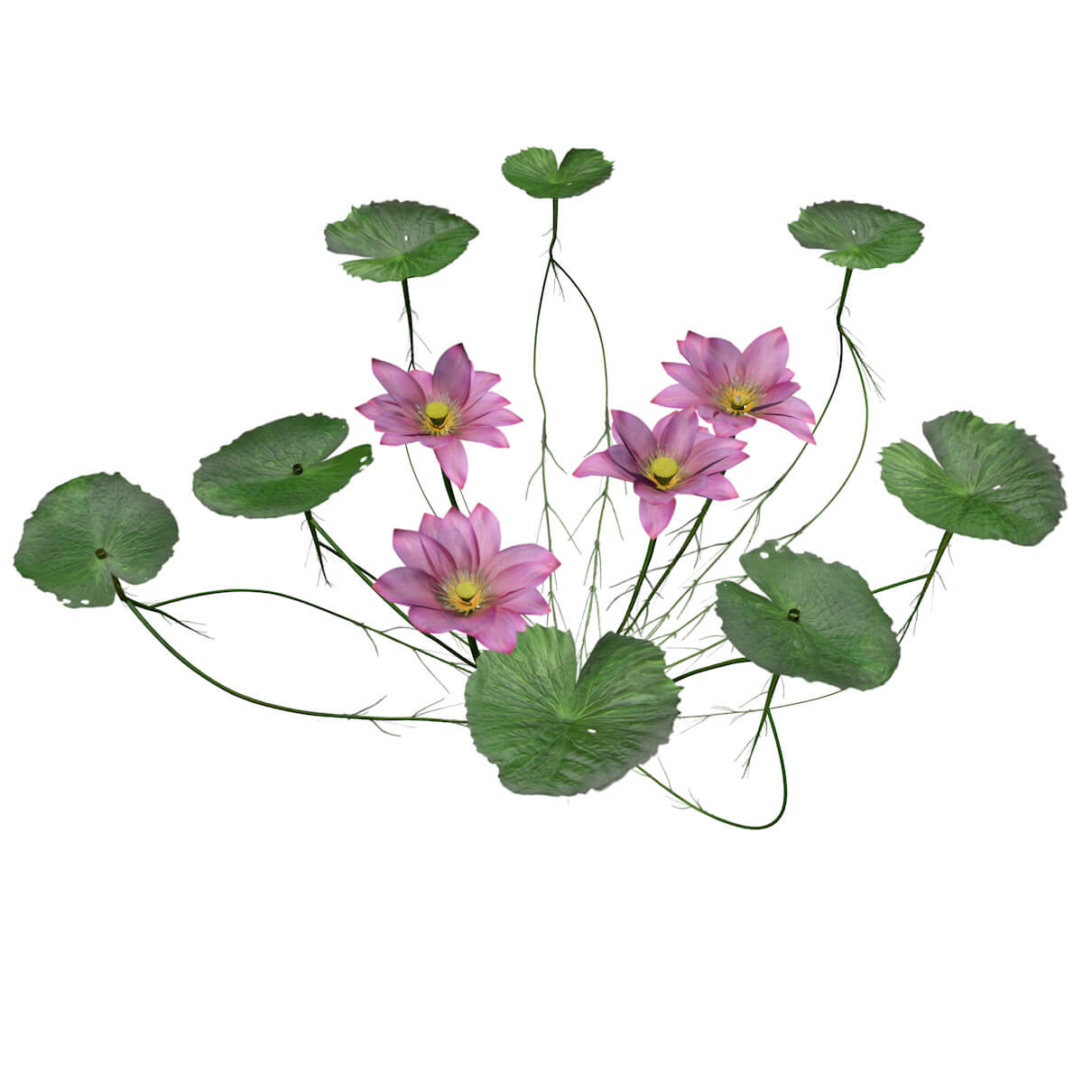 Lotus Flower #02 - 3D Model by AntonioKowatsch