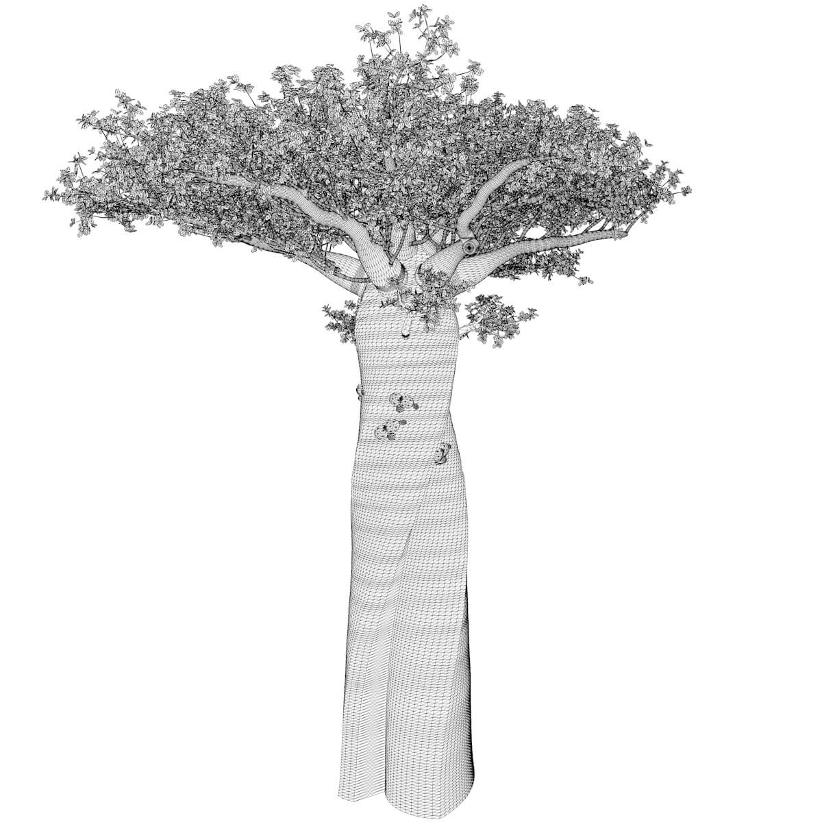 Madagascan Baobab Tree Collection by AntonioKowatsch