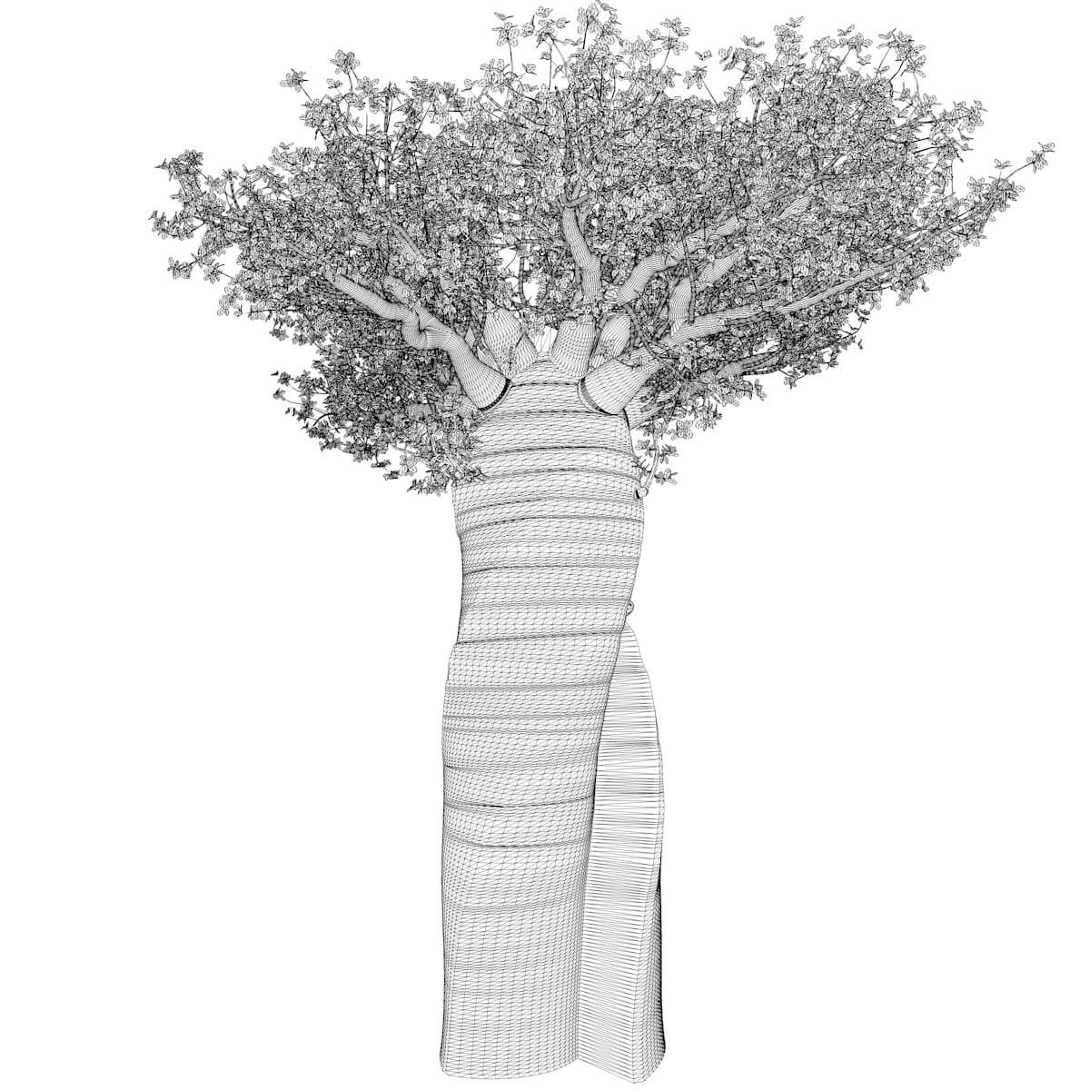 Madagascan Baobab Tree #05 - 3D Model by AntonioKowatsch