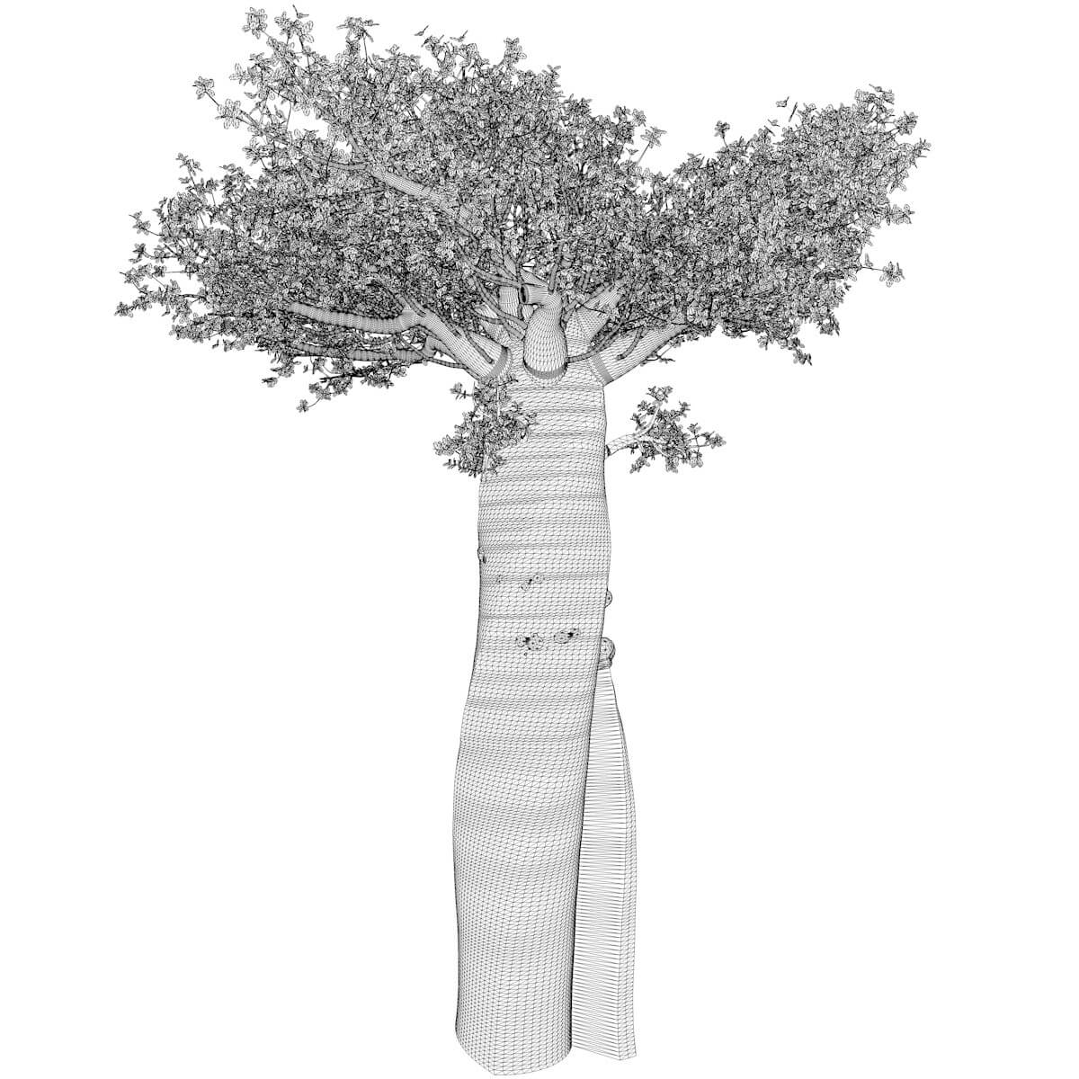 Madagascan Baobab Tree #08 - 3D Model by AntonioKowatsch