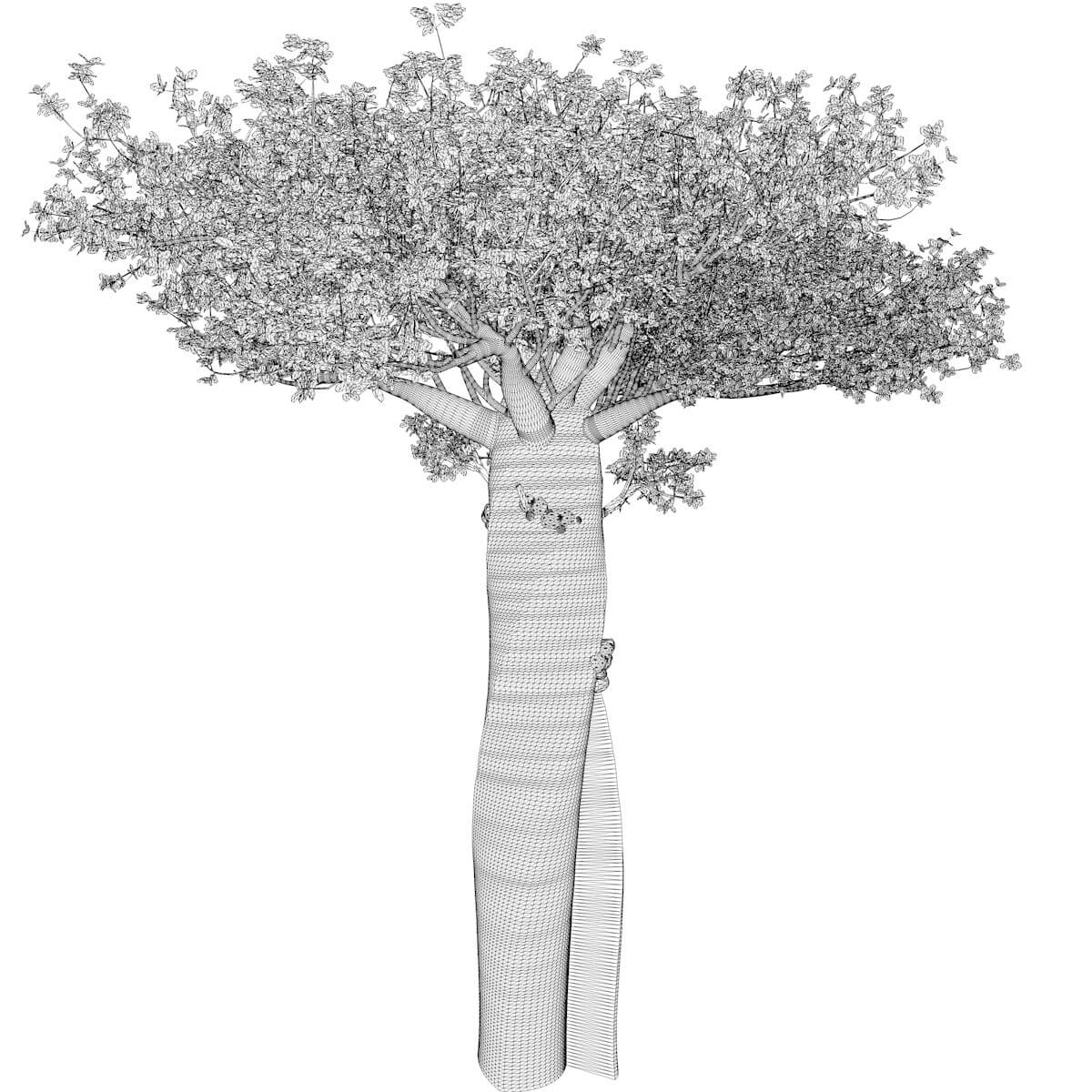 Madagascan Baobab Tree #10 - 3D Model by AntonioKowatsch