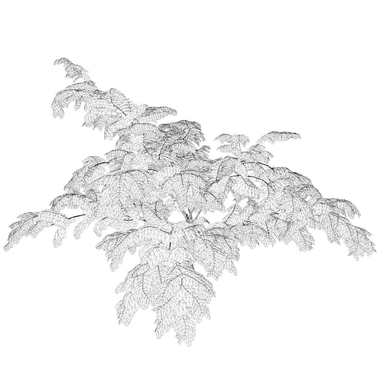 Mimosa Tree #02 - 3D Model by AntonioKowatsch