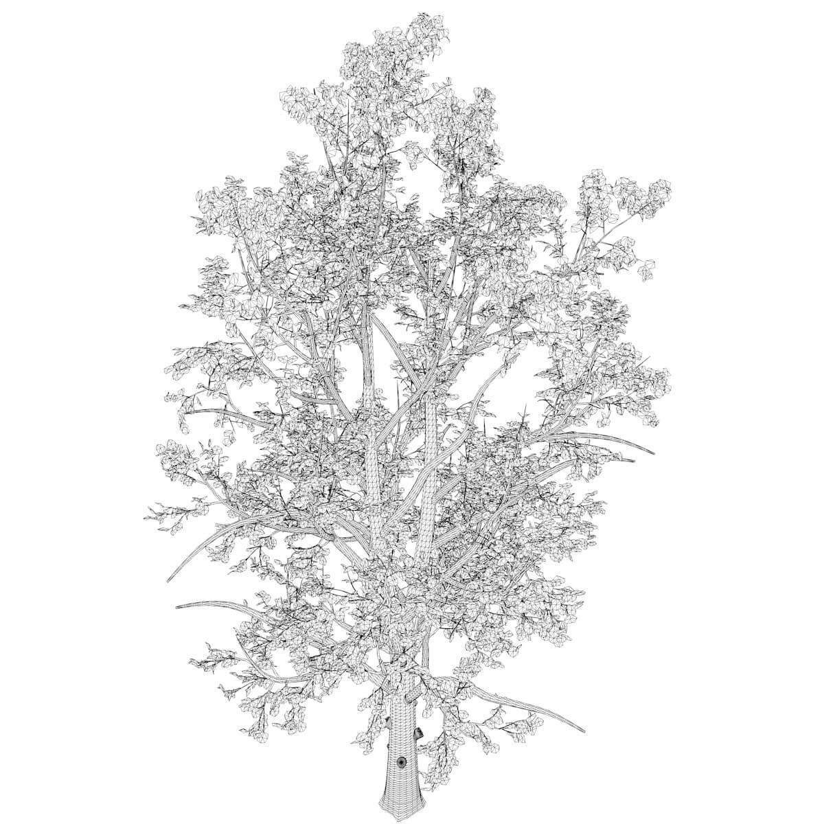 Mountain Maple Trees in The Fall Collection by AntonioKowatsch