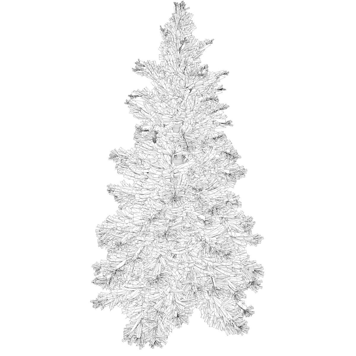 Norway Spruce Tree Collection by AntonioKowatsch