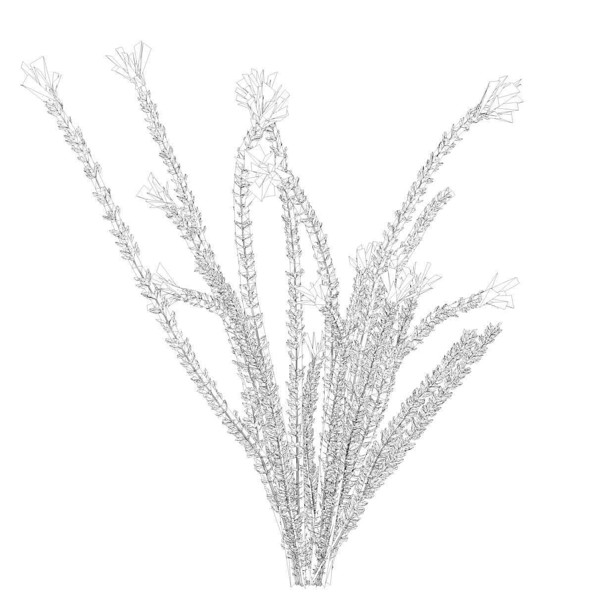 Ocotillo Plant #04 - 3D Model by AntonioKowatsch