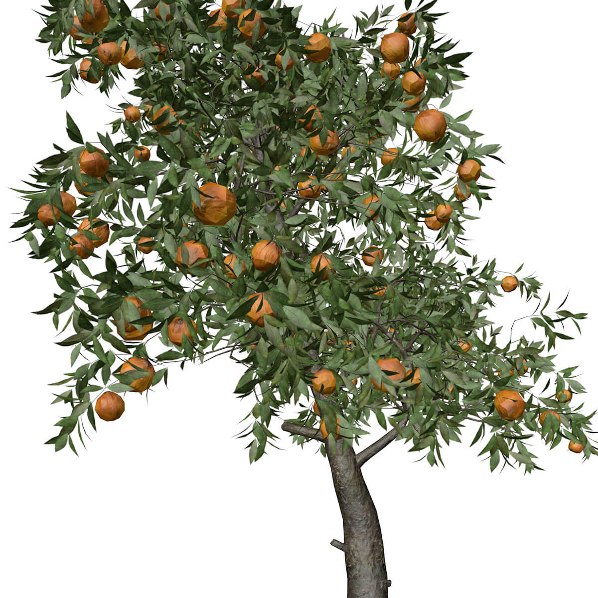 Orange Tree #02 - 3D Model by AntonioKowatsch