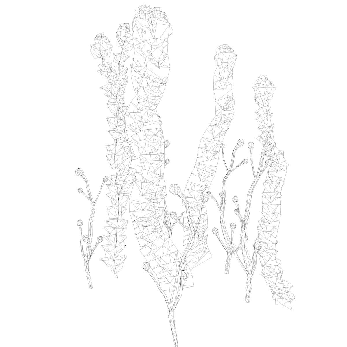 Pond Weed Collection by AntonioKowatsch