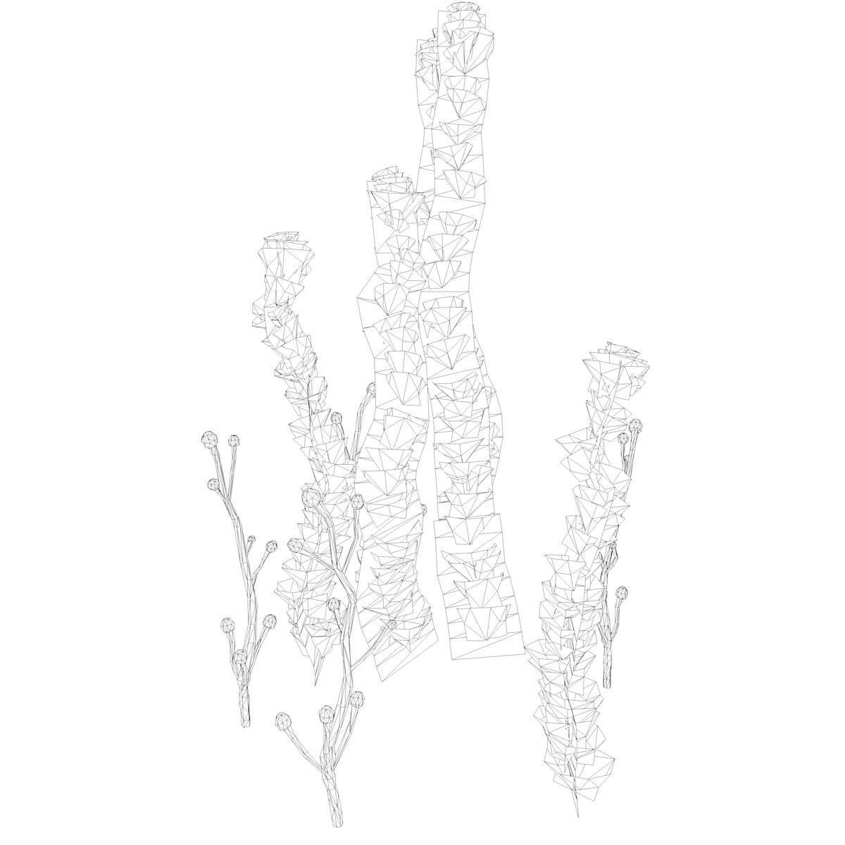 Pond Weed #04 - 3D Model by AntonioKowatsch
