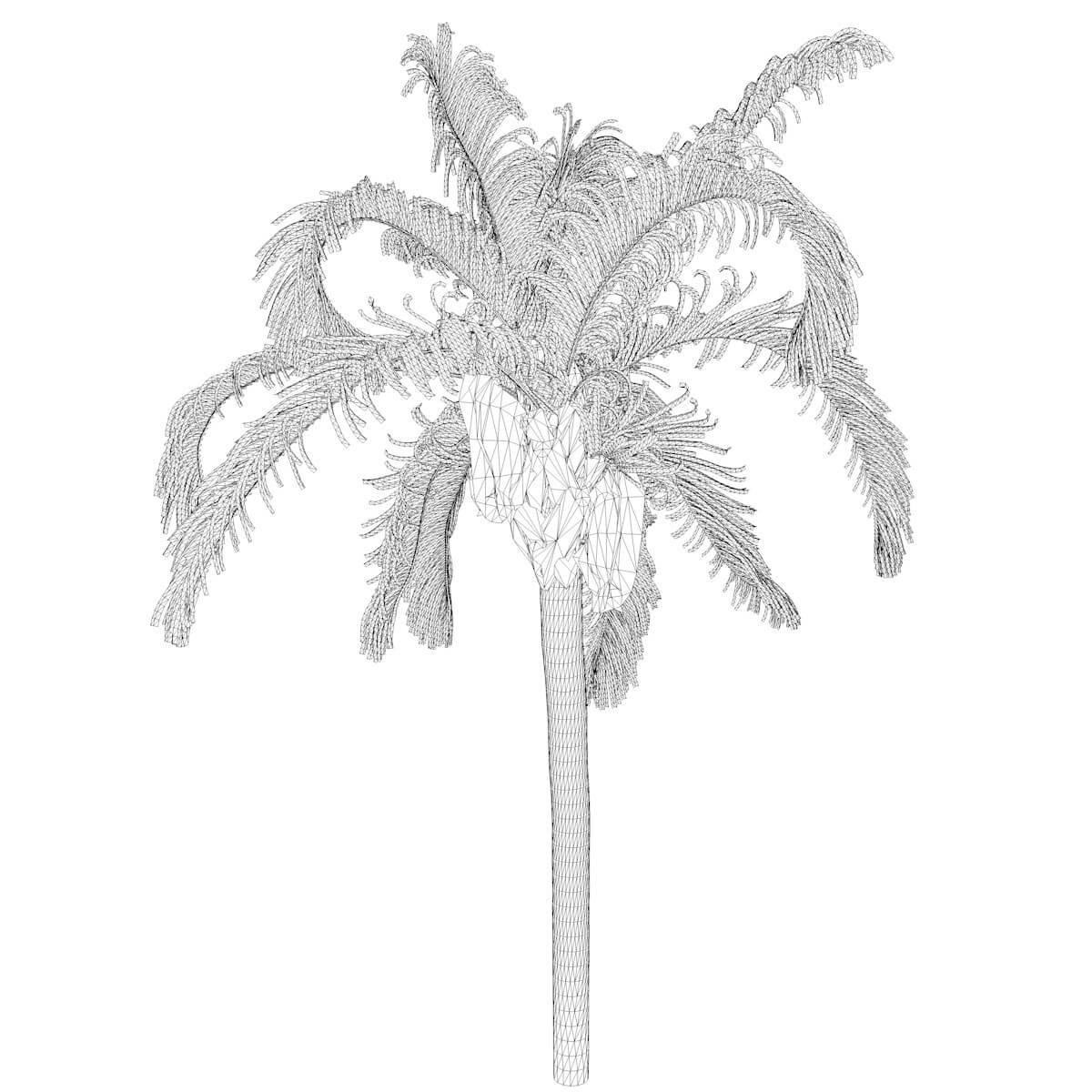 Queen Palm #04 - 3D Model by AntonioKowatsch