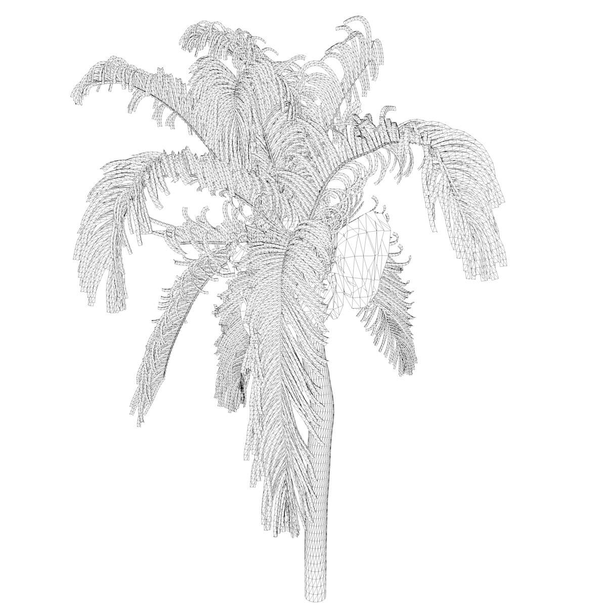 Queen Palm #06 - 3D Model by AntonioKowatsch