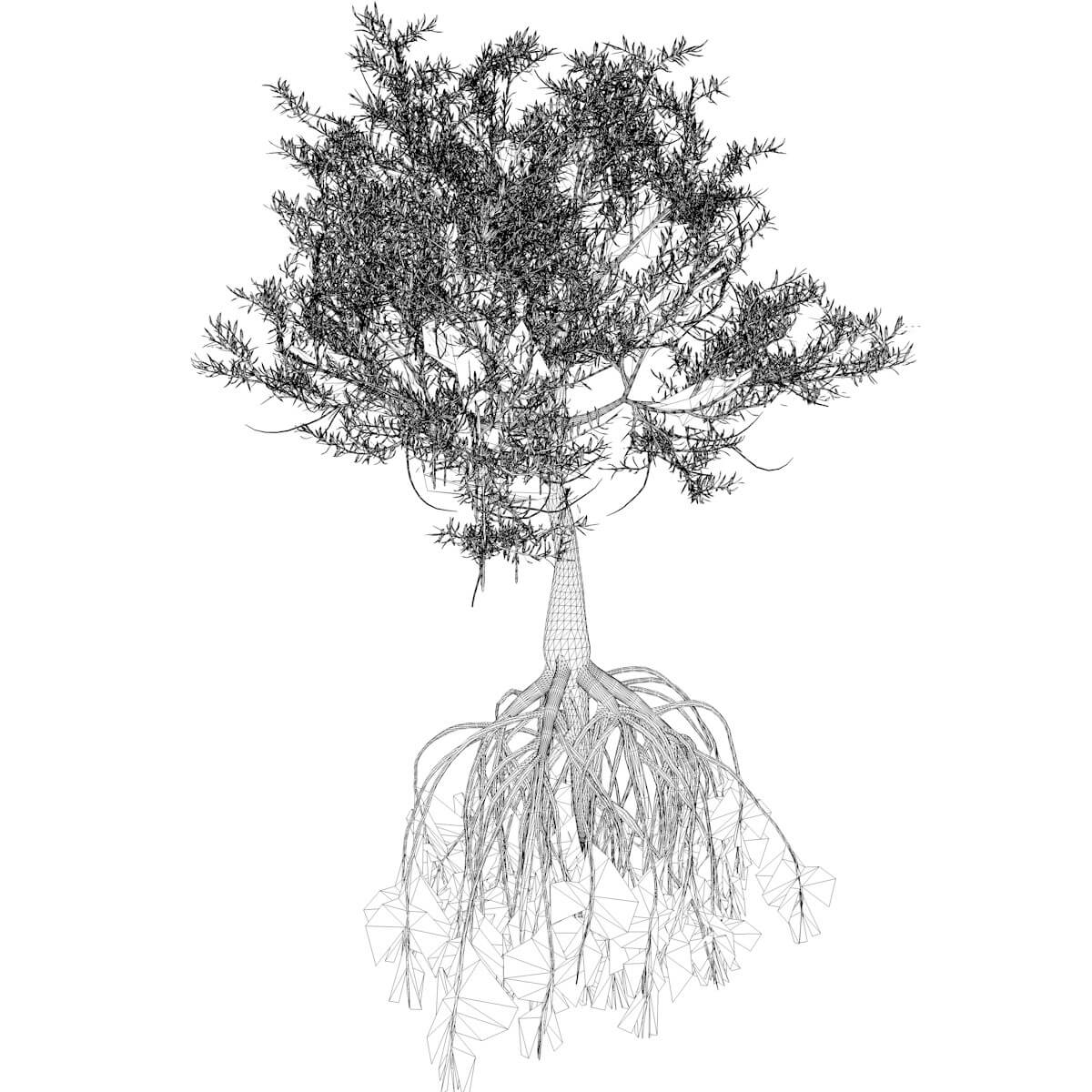 Red Mangrove Tree #01 - 3D Model by AntonioKowatsch