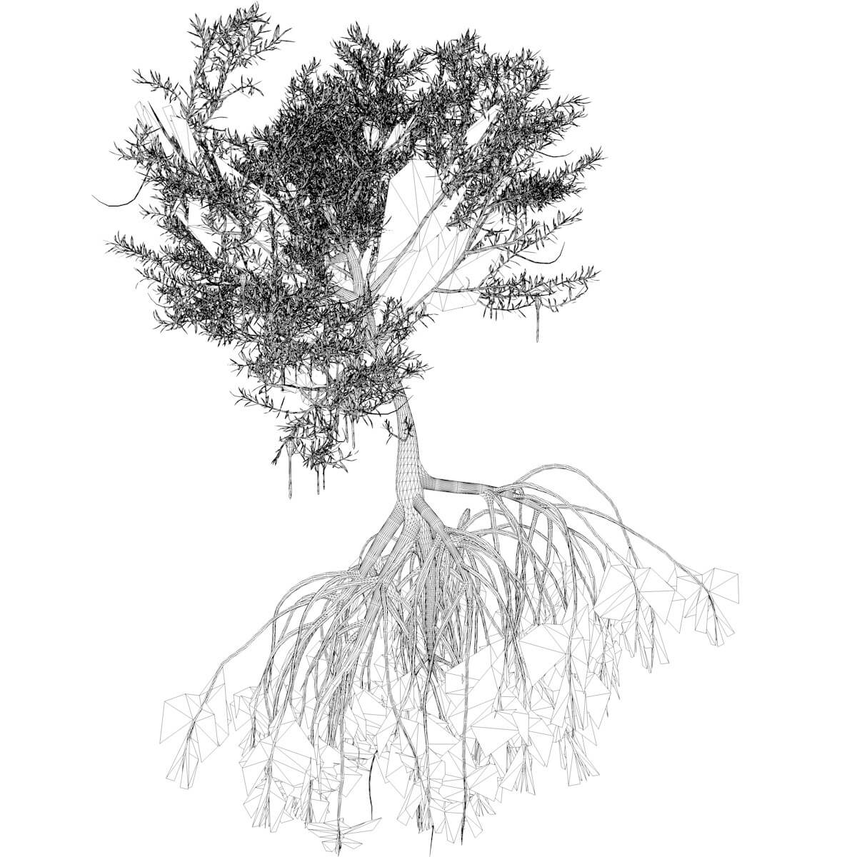 Red Mangrove Tree #03 - 3D Model by AntonioKowatsch