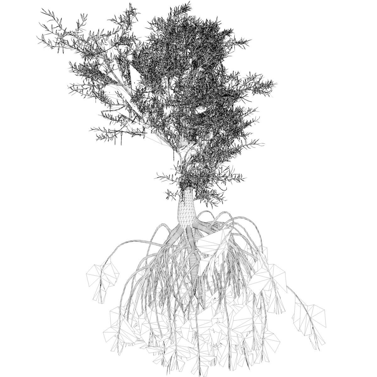 Red Mangrove Tree #06 - 3D Model by AntonioKowatsch