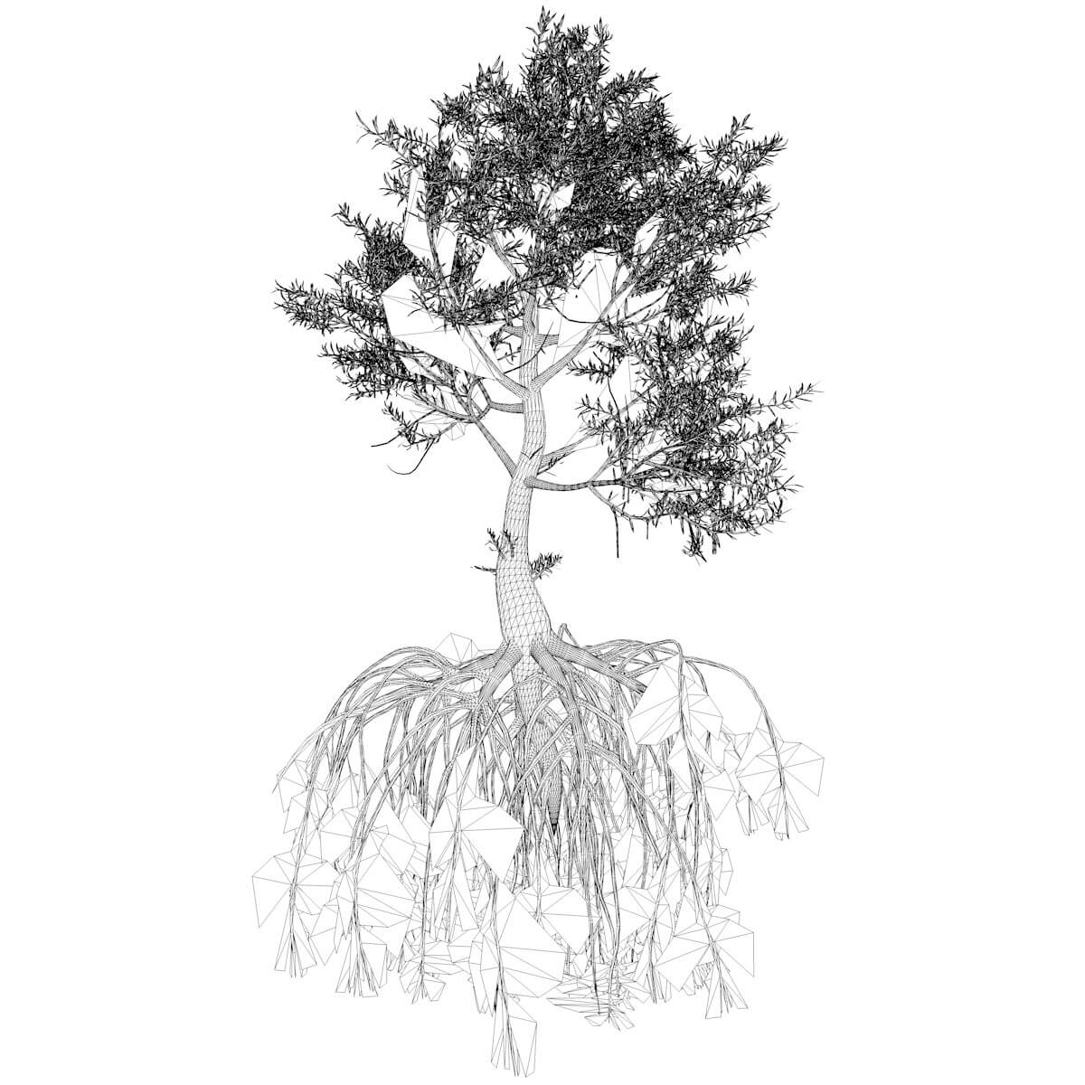 Red Mangrove Tree #09 - 3D Model by AntonioKowatsch