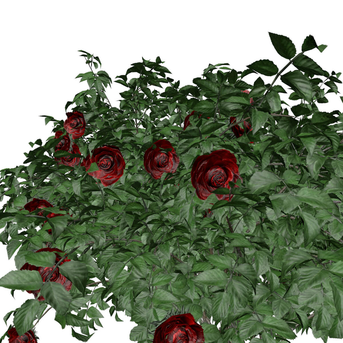 Red Rose Bush #04 - 3D Model by AntonioKowatsch