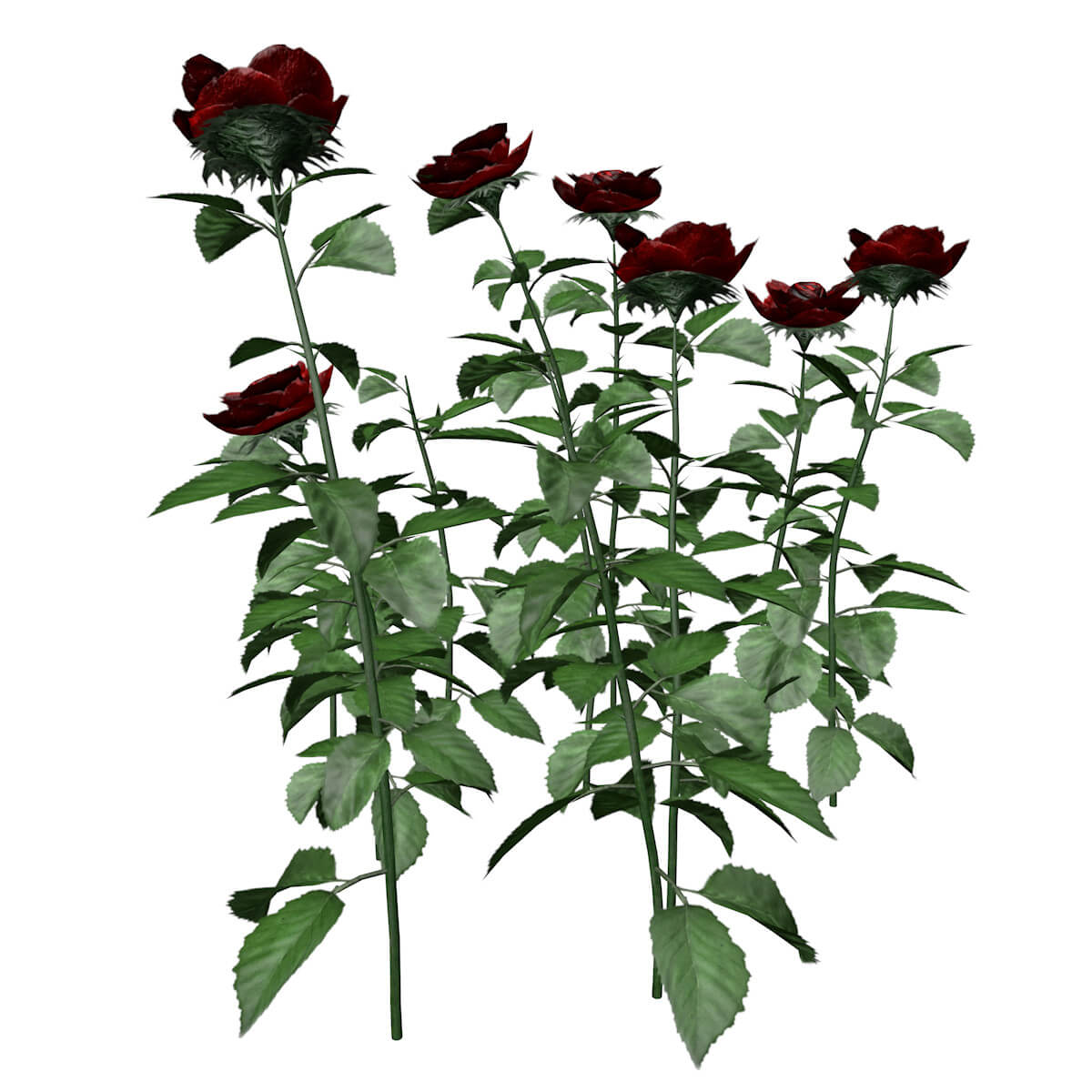 Red Rose Patch Collection by AntonioKowatsch