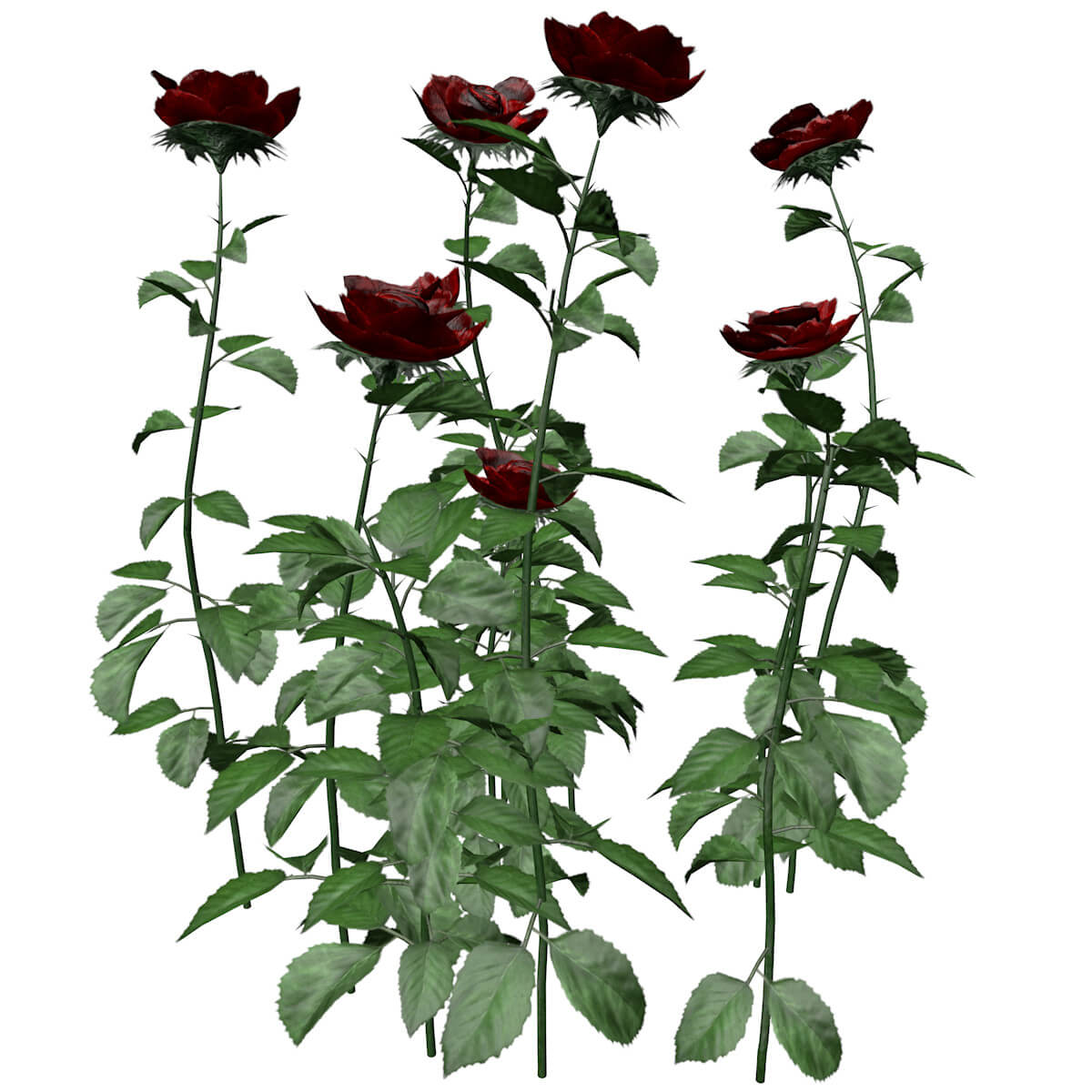 Red Rose Patch Collection by AntonioKowatsch