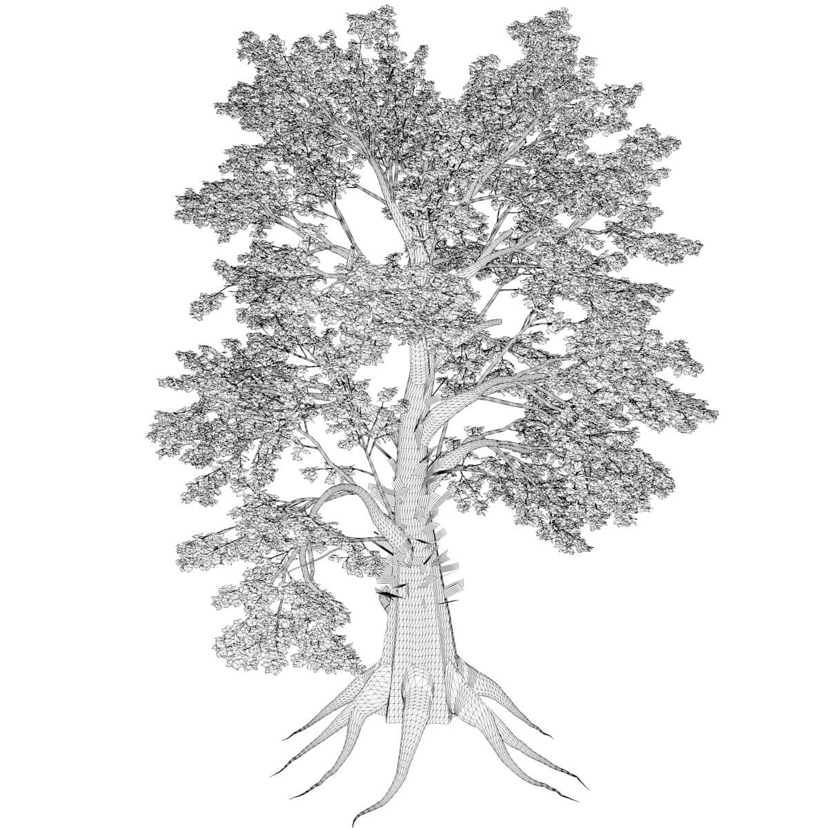 Sassafras Tree #01 - 3D Model by AntonioKowatsch