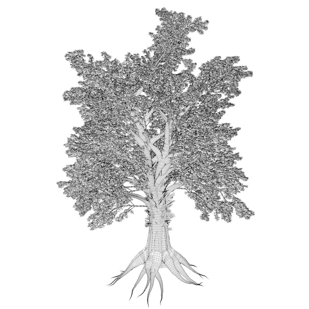 Sassafras Tree #02 - 3D Model by AntonioKowatsch
