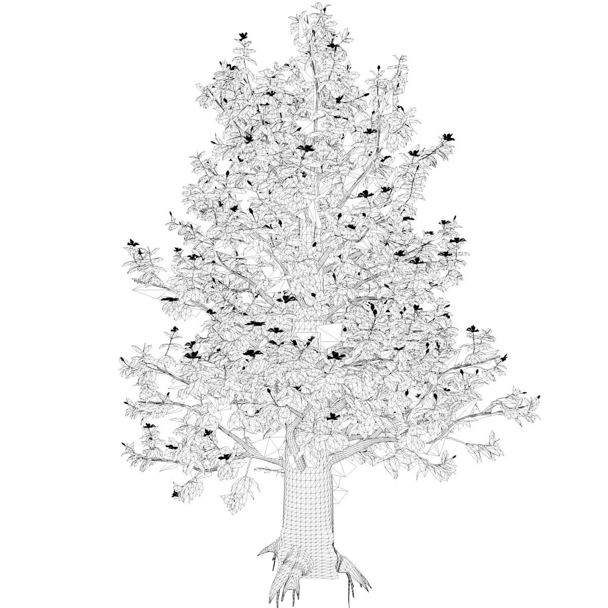 Southern Magnolia Tree With Flowers #08 - 3D Model by AntonioKowatsch