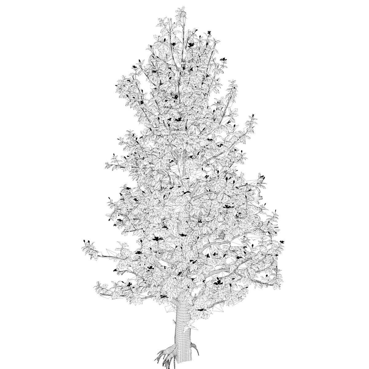 Southern Magnolia Trees With Flowers Collection by AntonioKowatsch