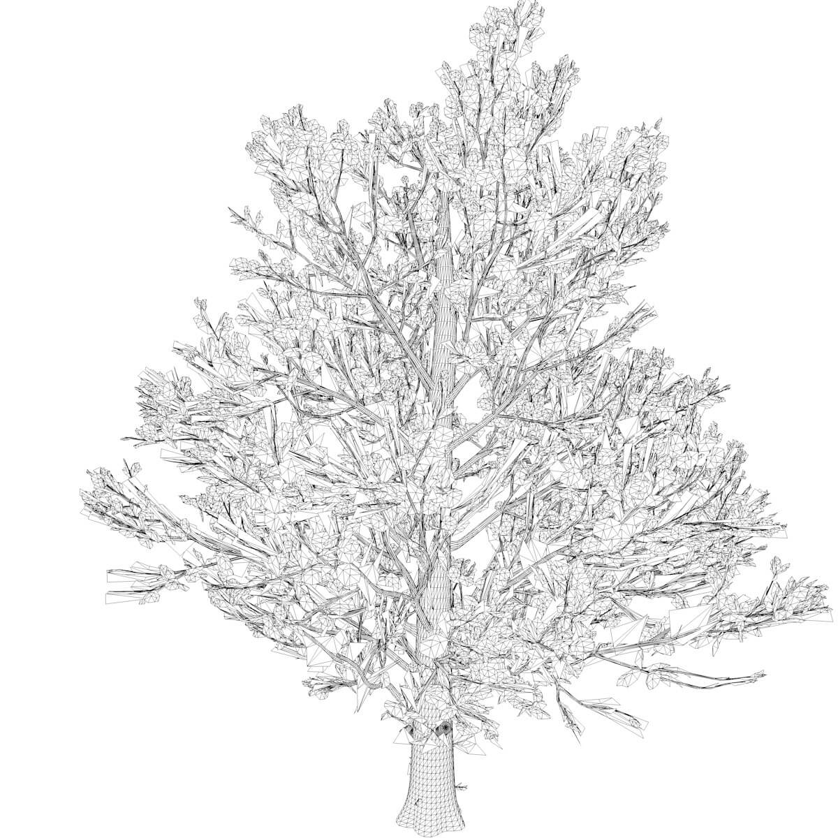 Sugar Maple Tree in The Fall #03 - 3D Model by AntonioKowatsch