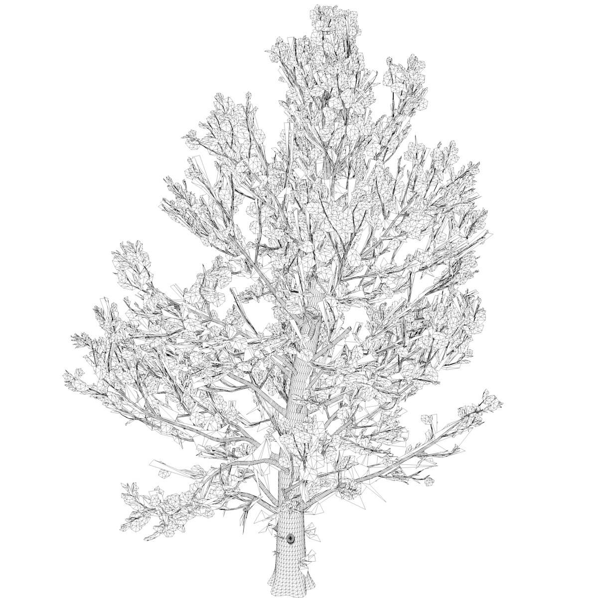Sugar Maple Tree in The Fall #08 - 3D Model by AntonioKowatsch