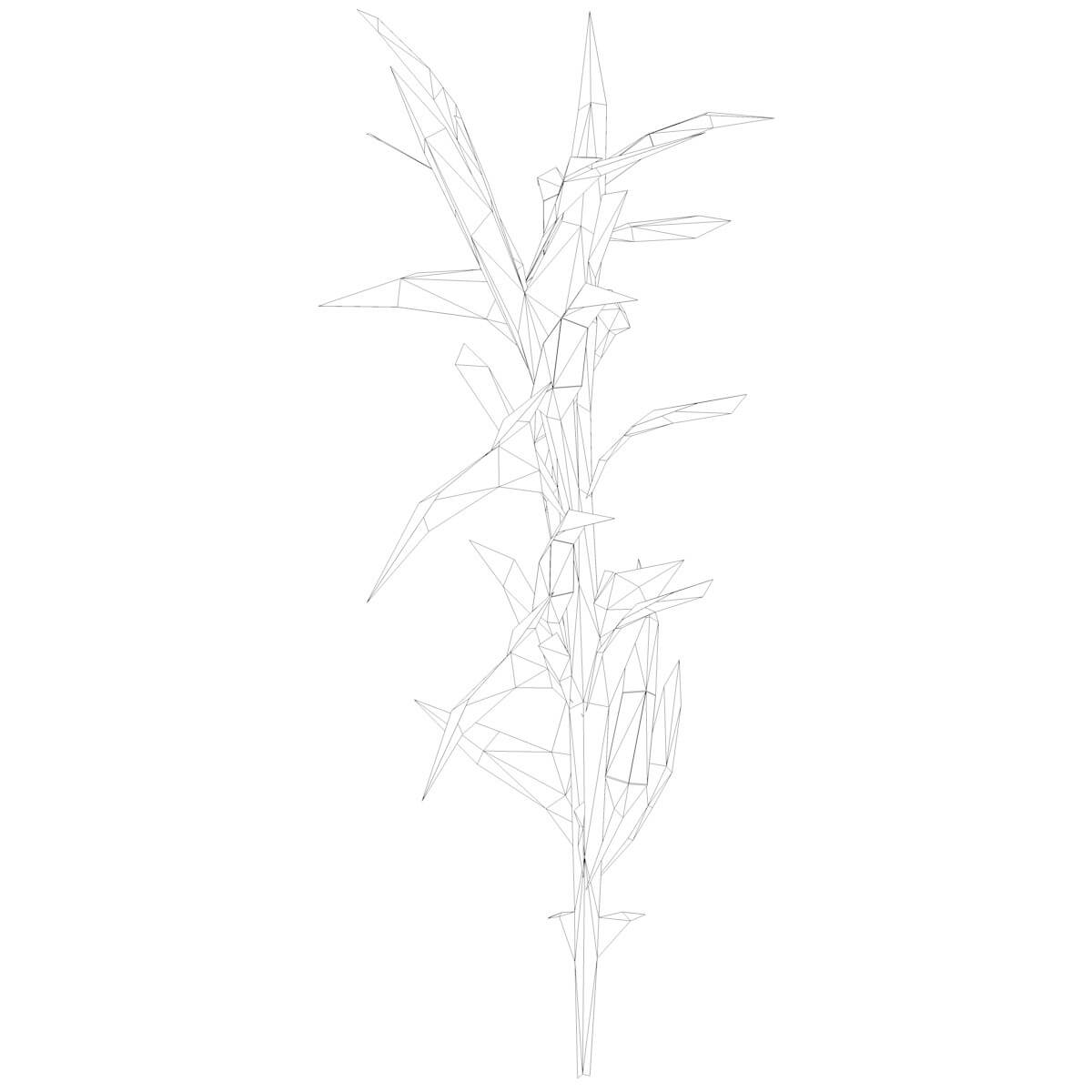 Switch Cane Plant Collection by AntonioKowatsch