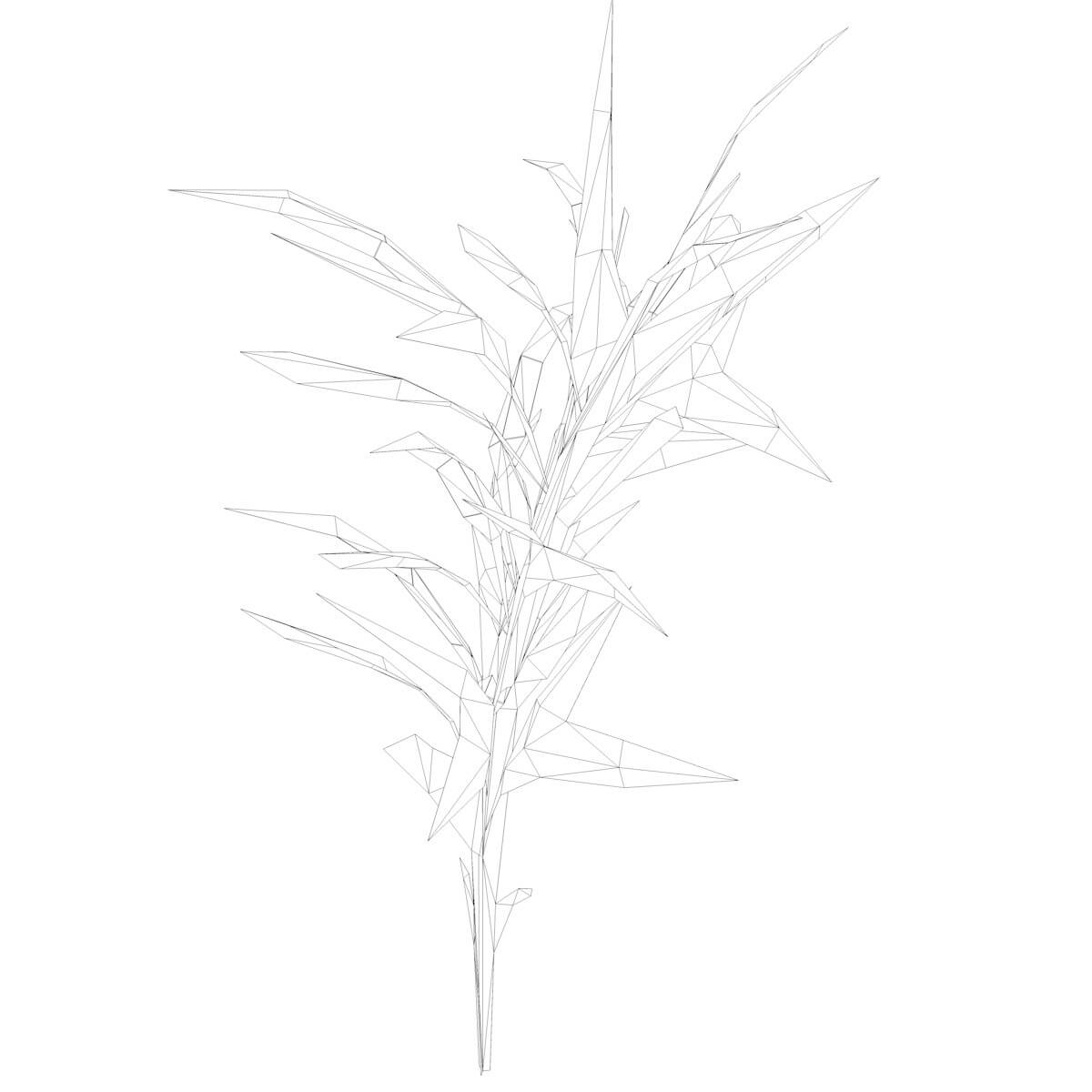 Switch Cane Plant Collection by AntonioKowatsch