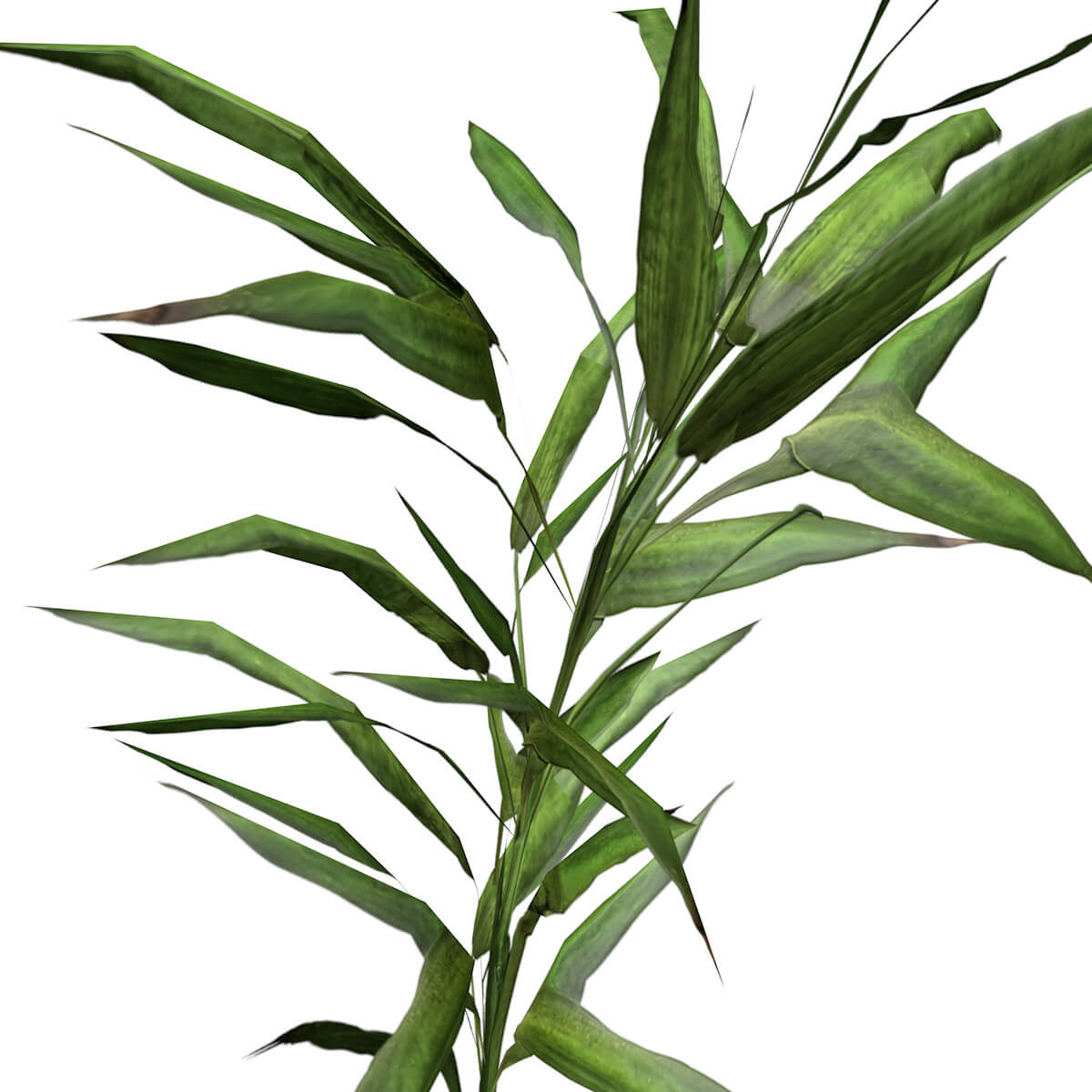 Switch Cane Plant #04 - 3D Model by AntonioKowatsch