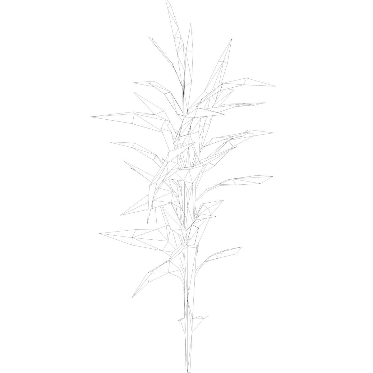 Switch Cane Plant Collection by AntonioKowatsch