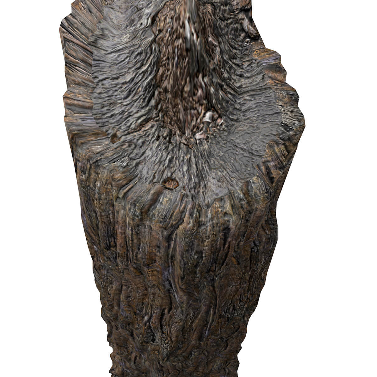 Giant Redwood Tree #02 (Stump) - 3D Model by AntonioKowatsch