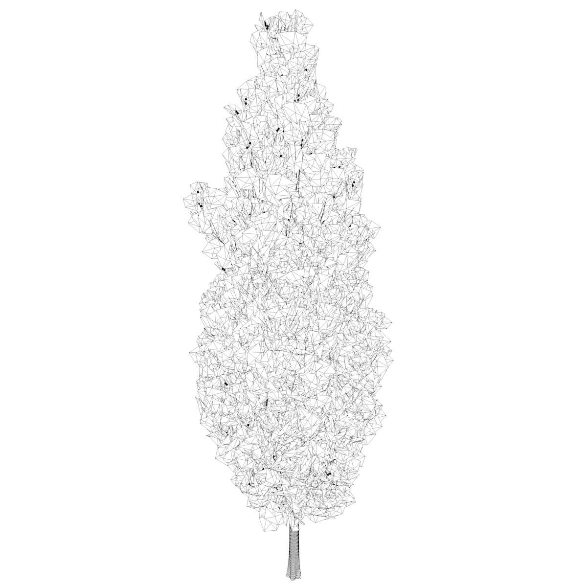 Italian Cypress Tree #05 - 3D Model by AntonioKowatsch