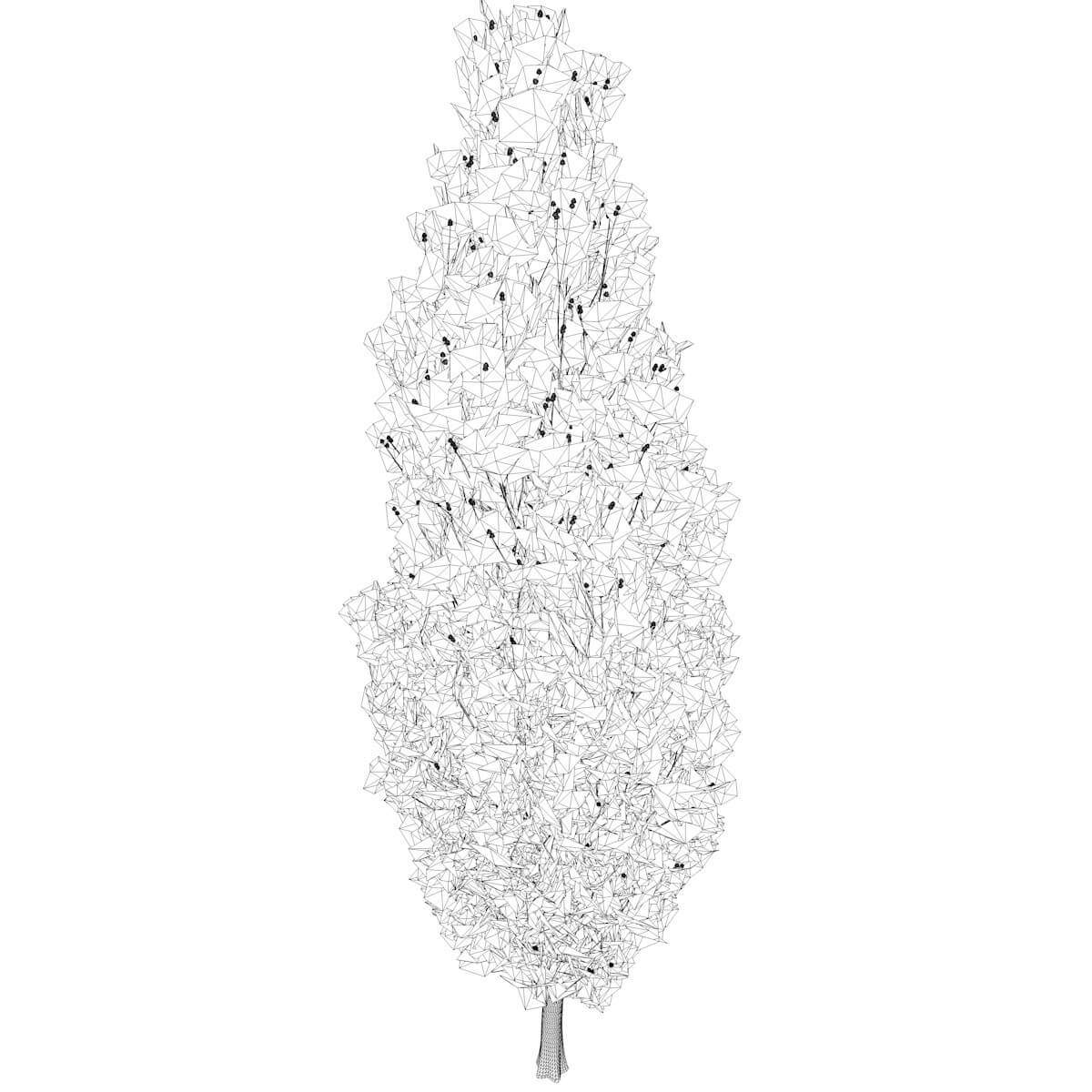 Italian Cypress Tree Collection by AntonioKowatsch