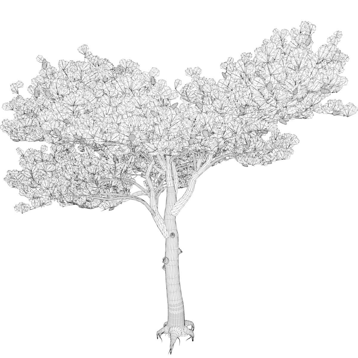 Italian Stone Pine Tree Collection by AntonioKowatsch