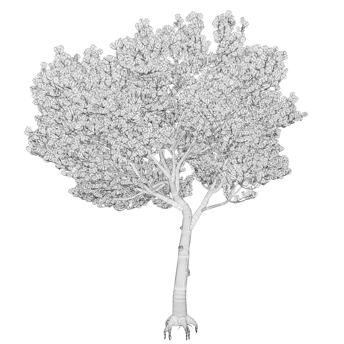 Italian Stone Pine Tree #04 - 3D Model by AntonioKowatsch