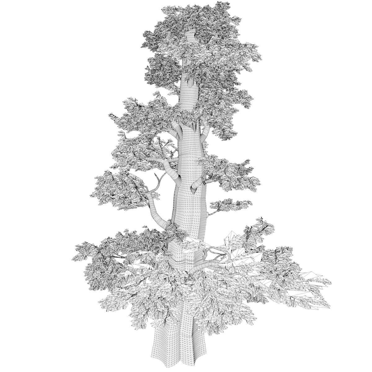 Western Juniper Tree #01 - 3D Model by AntonioKowatsch