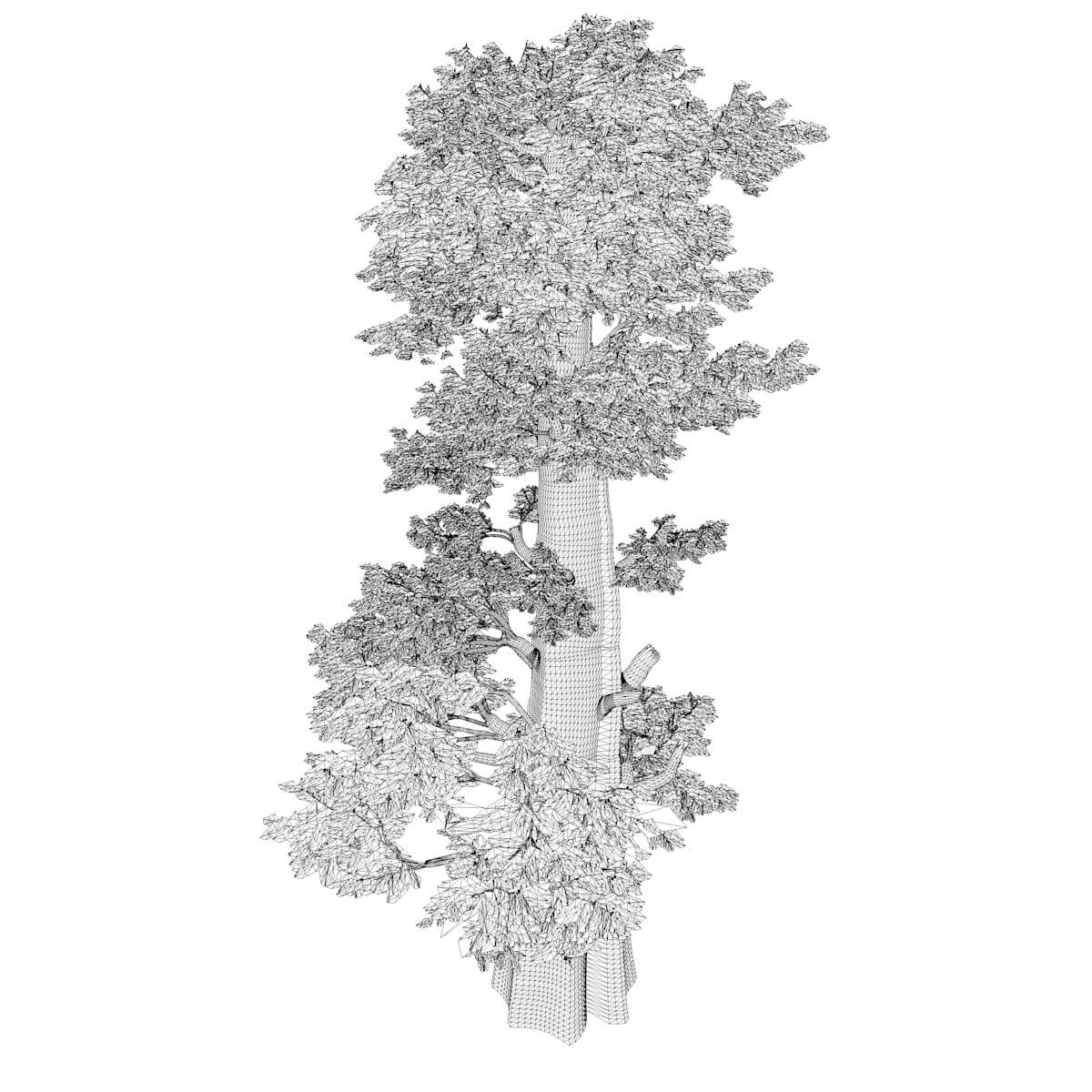 Western Juniper Tree #02 - 3D Model by AntonioKowatsch