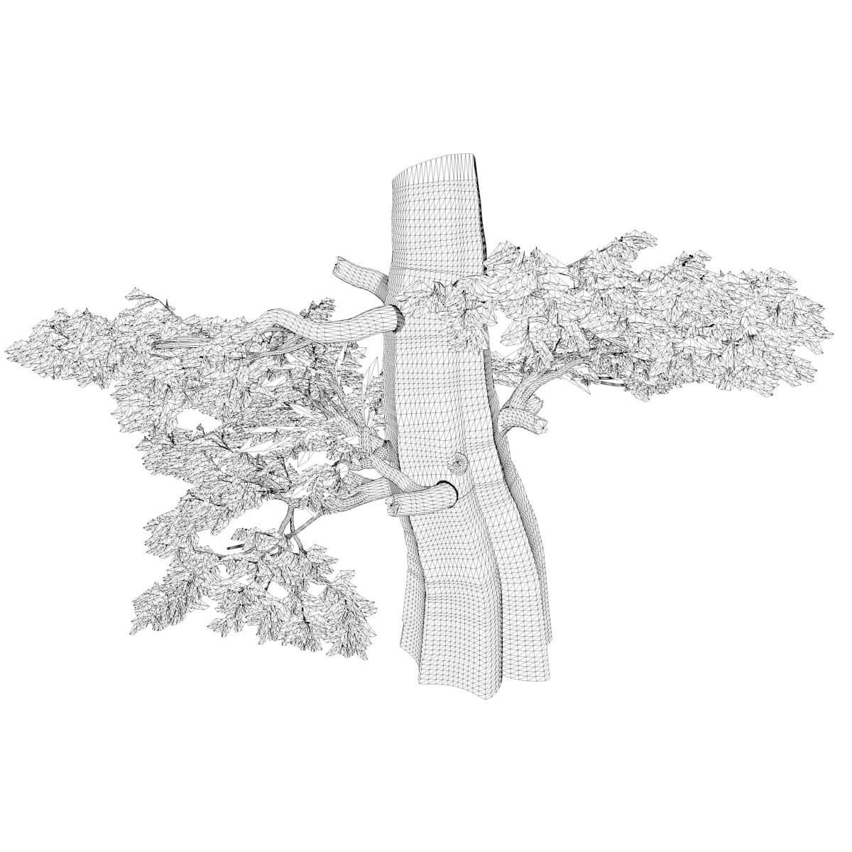 Western Juniper Tree #10 - 3D Model by AntonioKowatsch