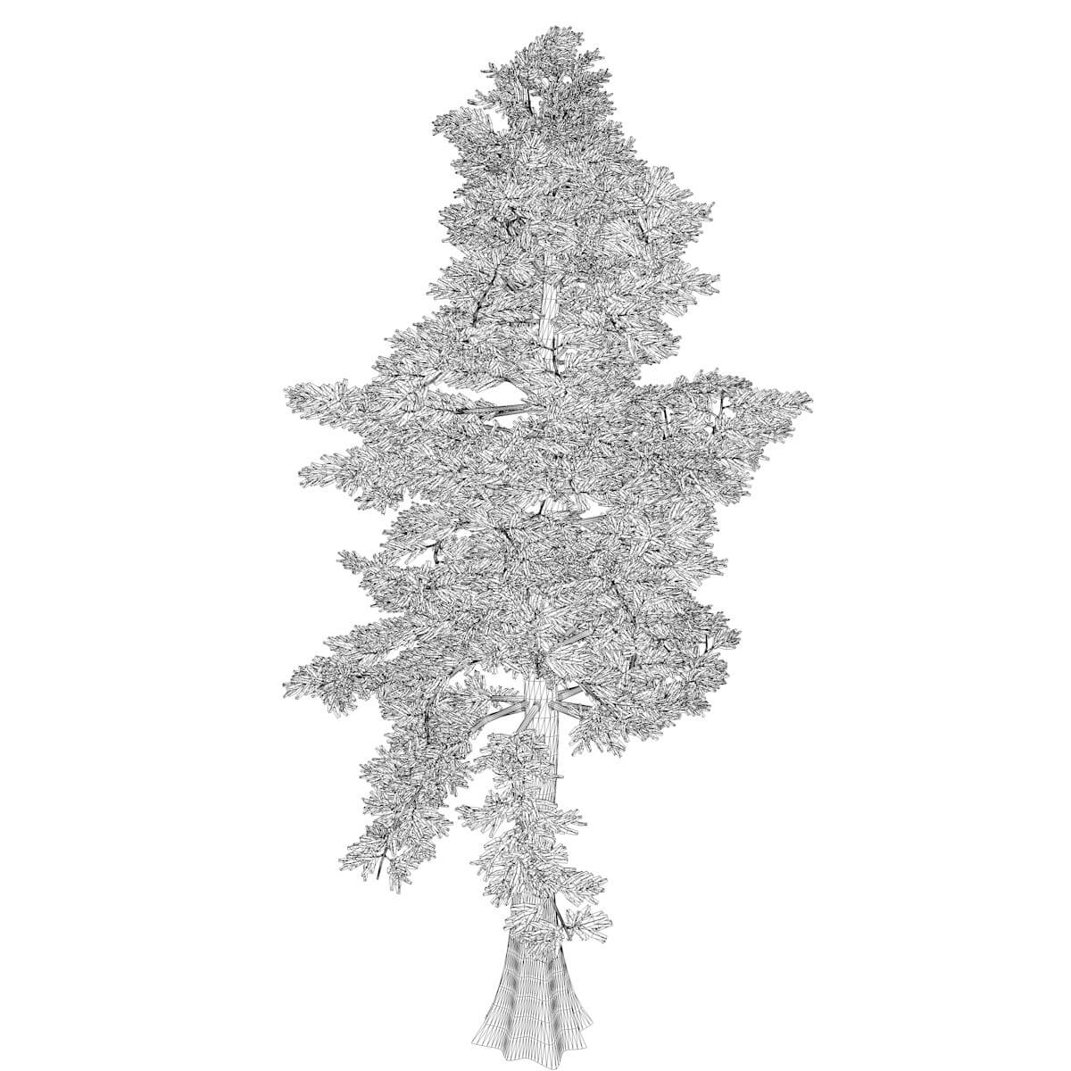 Western Red Cedar Tree #03 - 3D Model by AntonioKowatsch