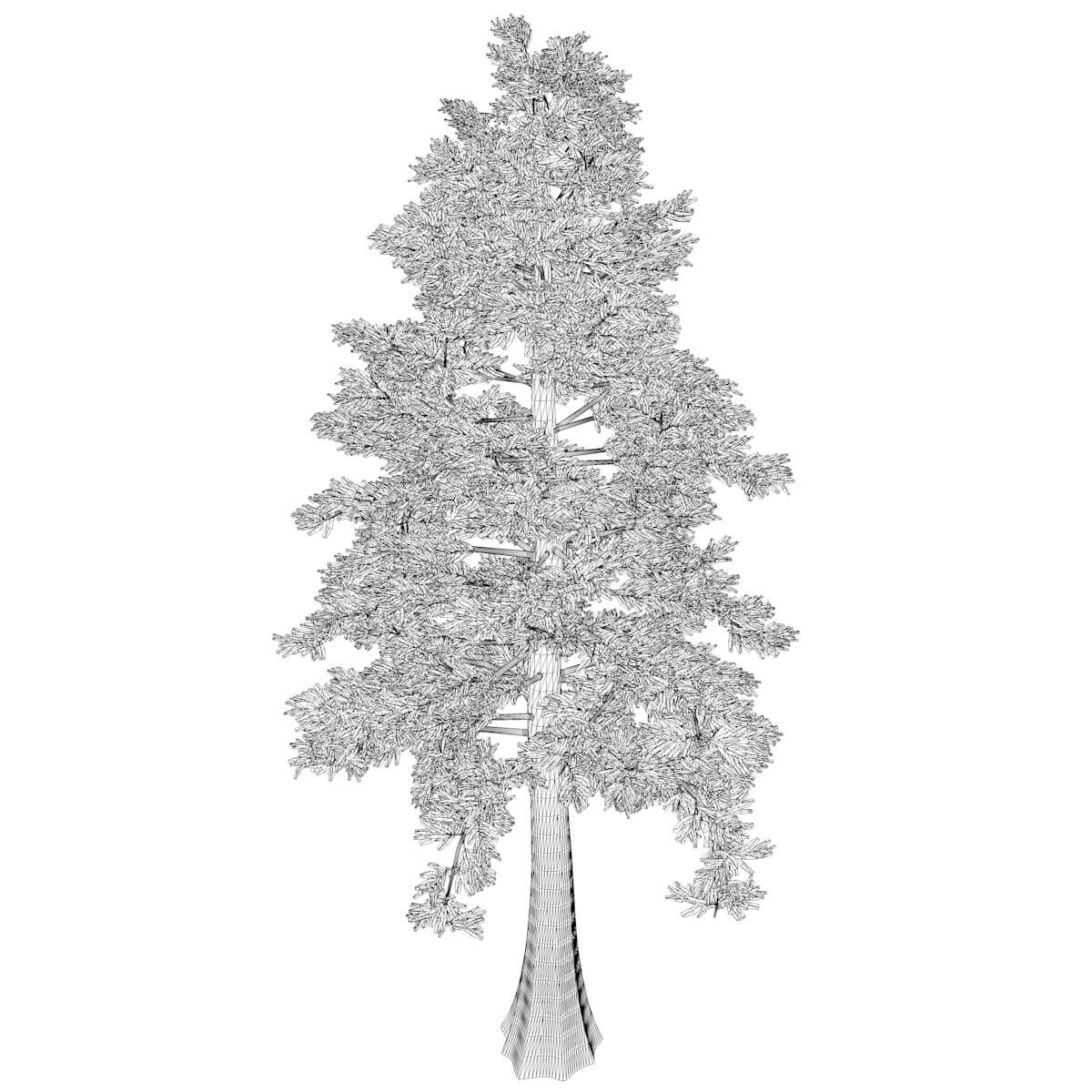 Western Red Cedar Tree #04 - 3D Model by AntonioKowatsch