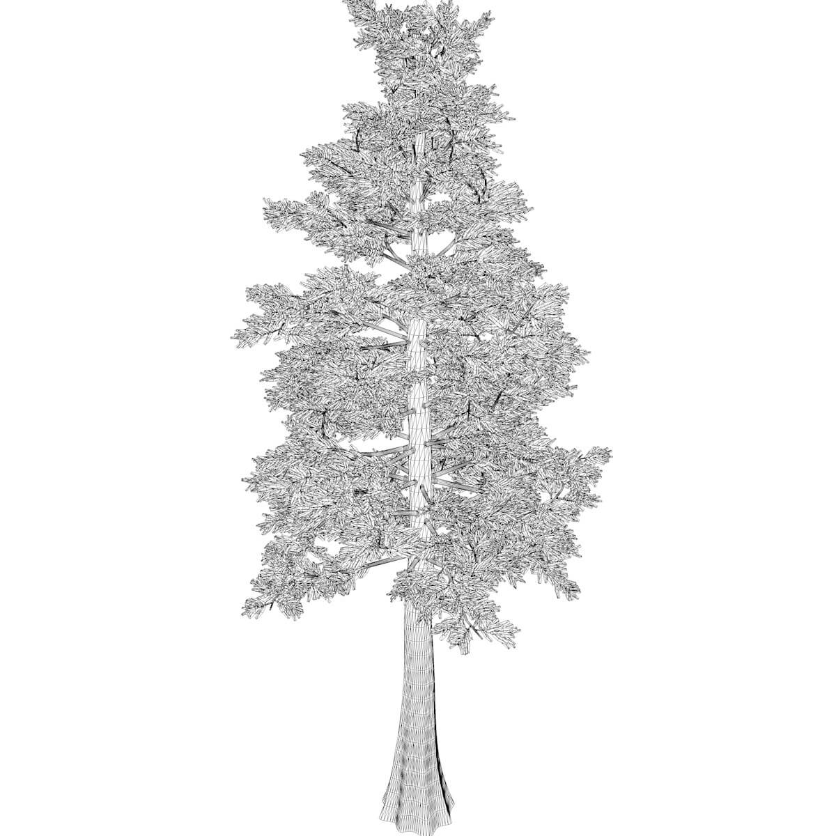 Western Red Cedar Tree #05 - 3D Model by AntonioKowatsch