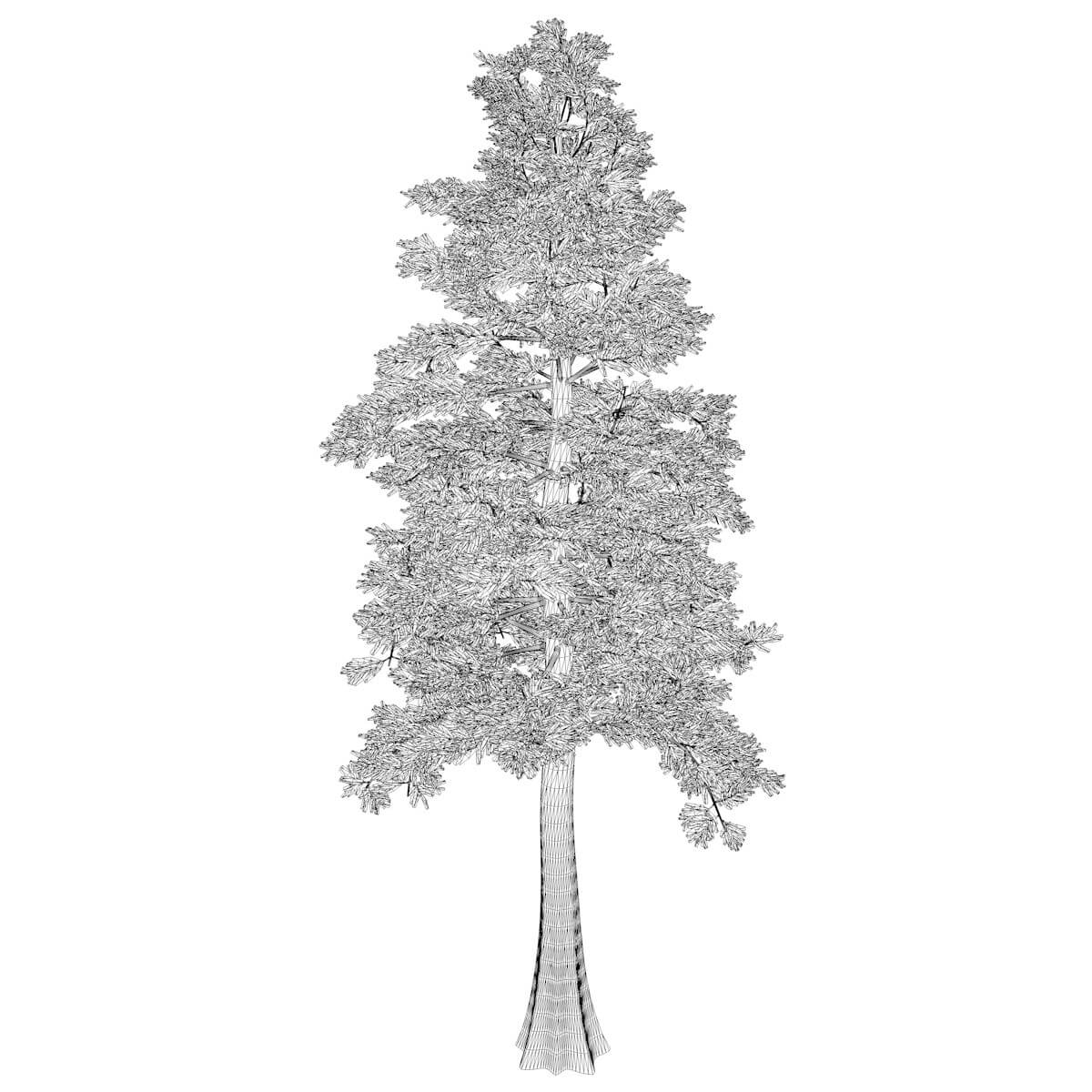 Western Red Cedar Tree #08 - 3D Model by AntonioKowatsch