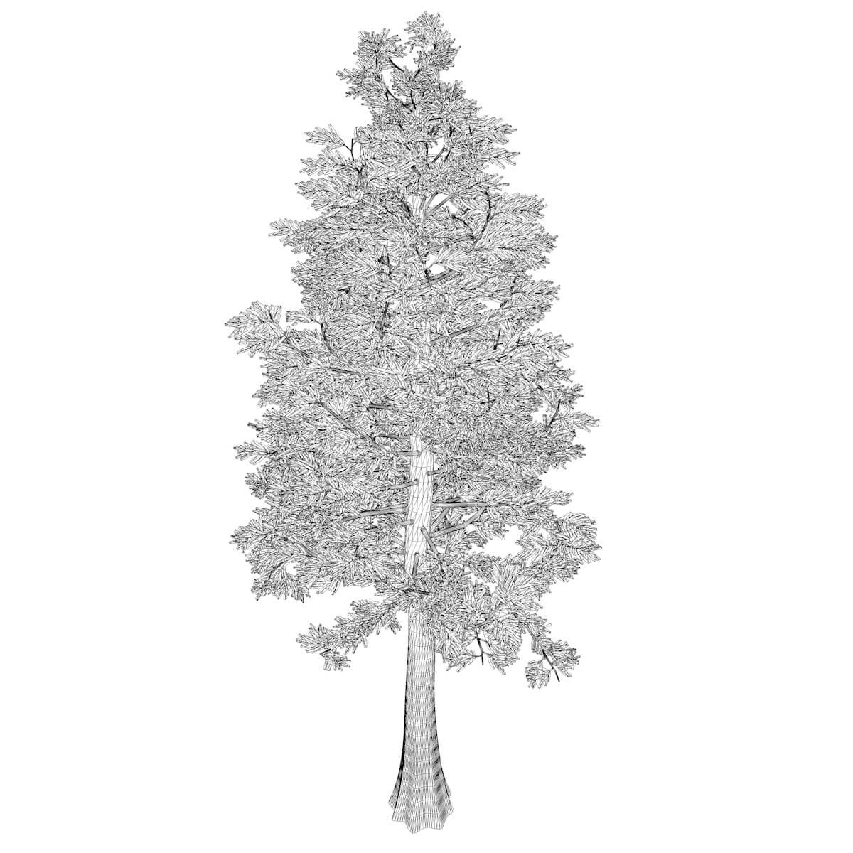 Western Red Cedar Tree #09 - 3D Model by AntonioKowatsch